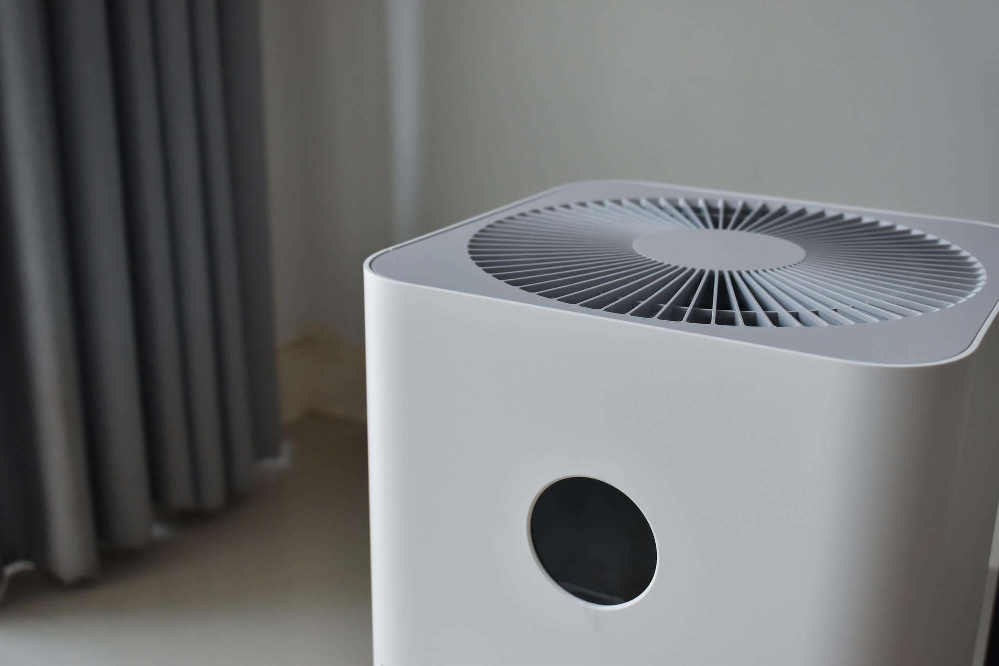 Breathe Easy: 4 Essential Tips for Air Purification in the Home ...